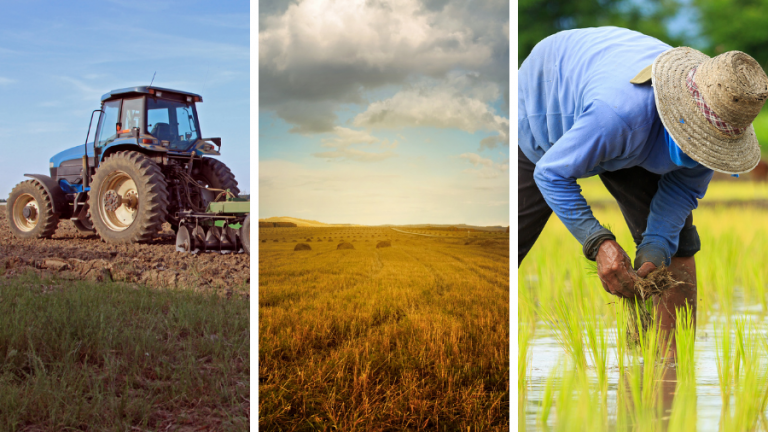 9 things you need to know about the seasonal worker programme