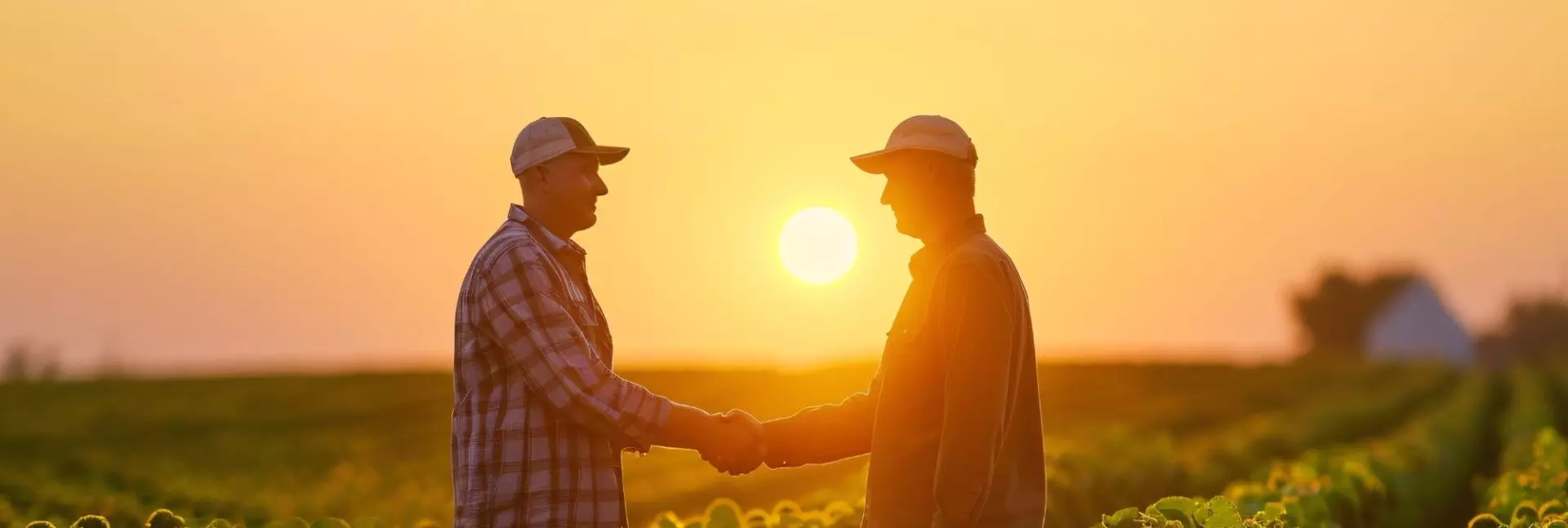 RSE Scheme New Zealand: Complete Guide 2025 - Rocket Remit Blog